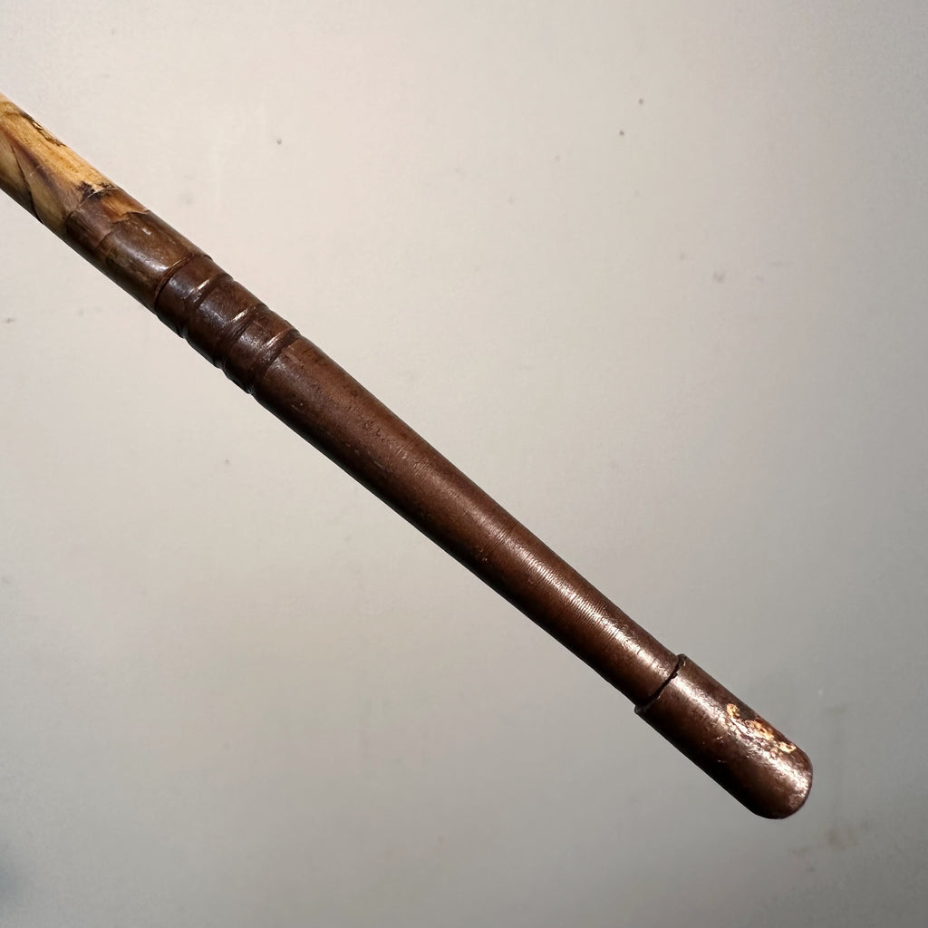 19th Century Stacked Horn Walking Cane | Early 1800s – Mad Van Antiques