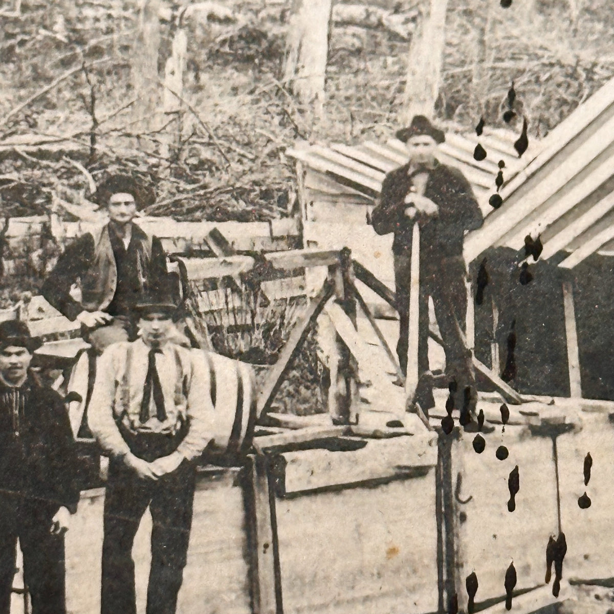 Antique Logging Camp Photograph from Turn of the Century – Mad Van Antiques