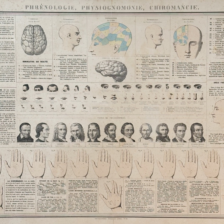 19th Century Phrenology Lithograph Poster from France | 1800s – Mad Van ...