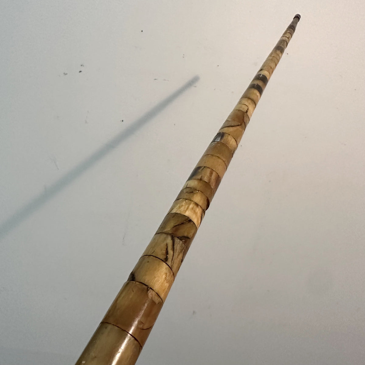 19th Century Stacked Horn Walking Cane | Early 1800s – Mad Van Antiques