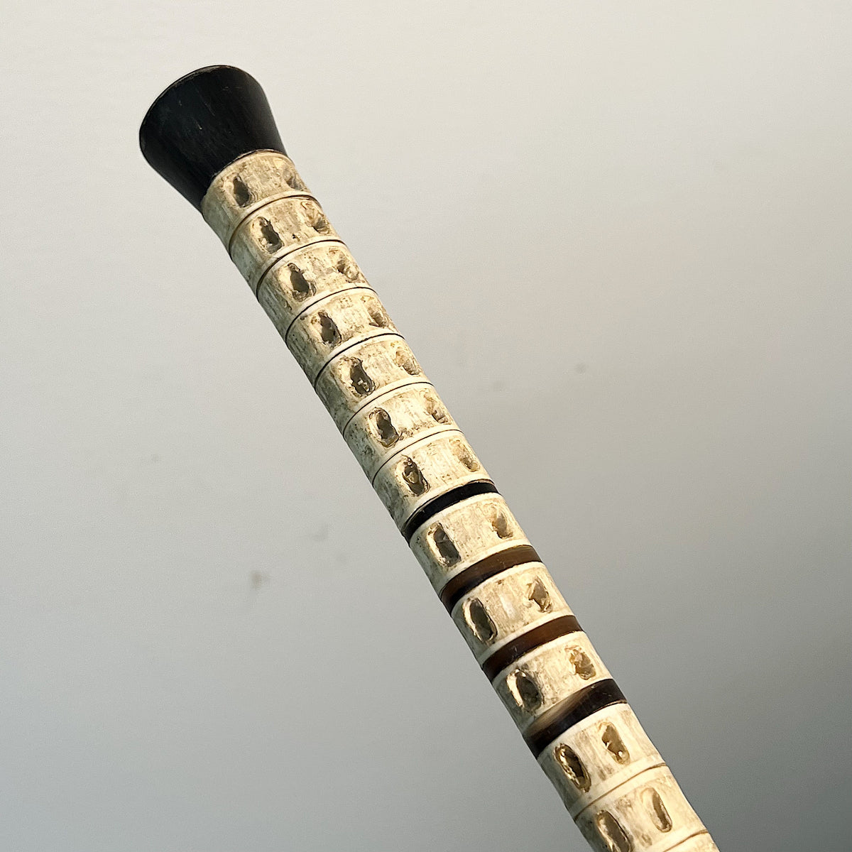 Reserved for B - Antique Large Shark Spine Cane with Horn Handle – Mad ...